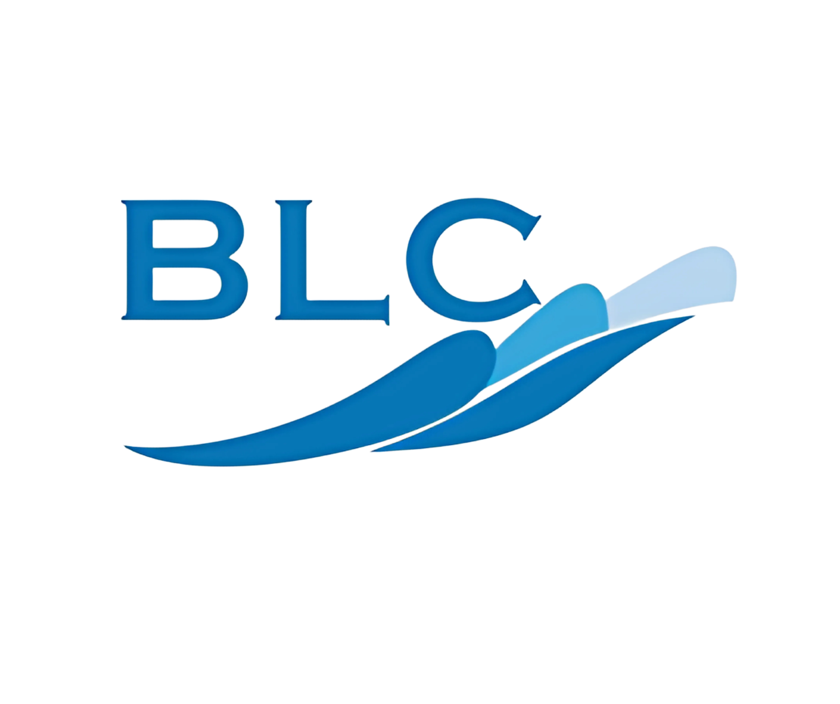 Project Cargo Logistics - BLC MARINE